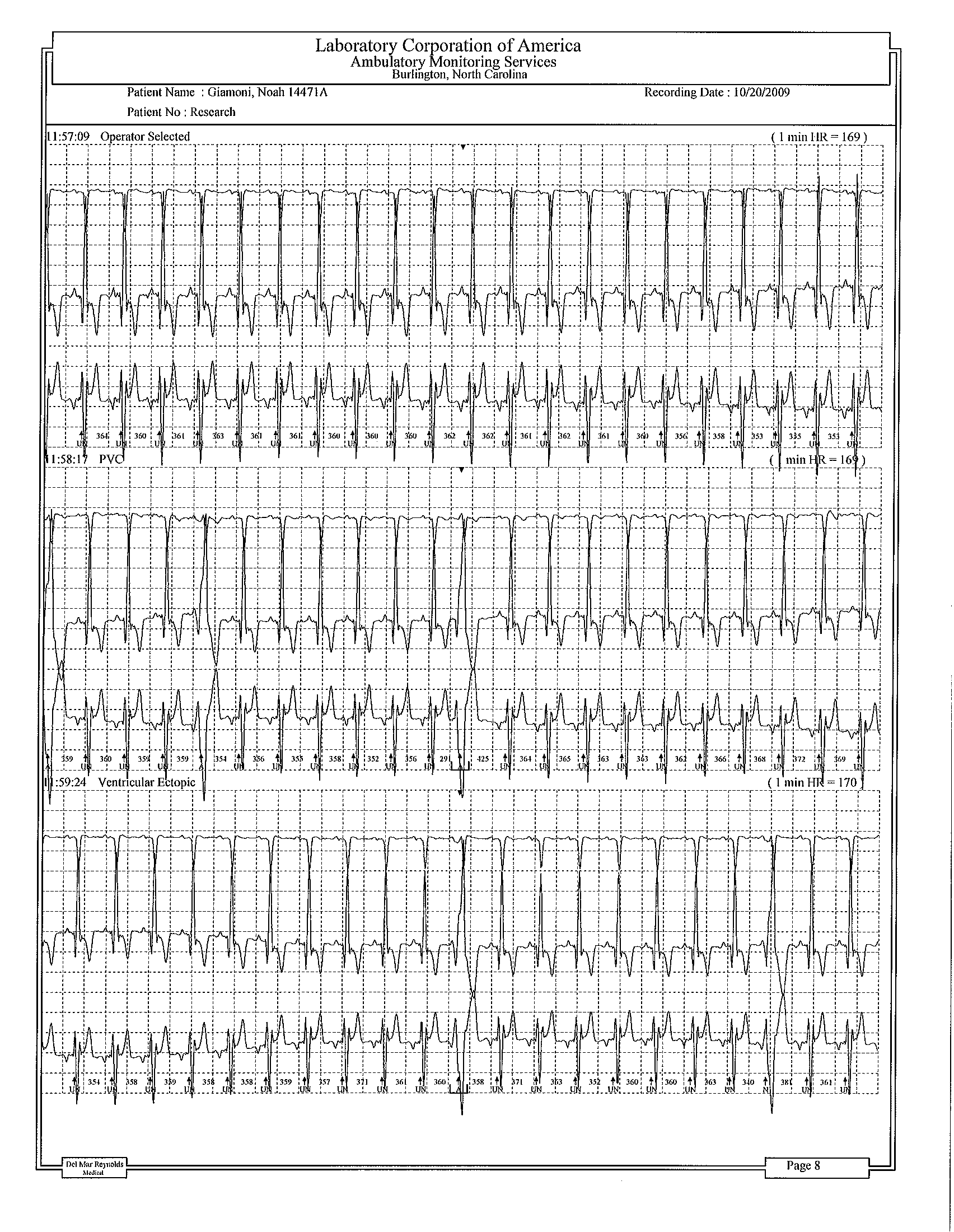 What is a Holter monitor and why does my pet need one? - Metropolitan ...
